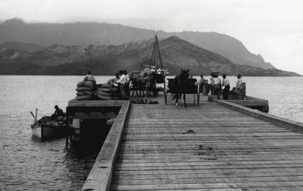Princeville history with over 60+ dates & fascinating facts