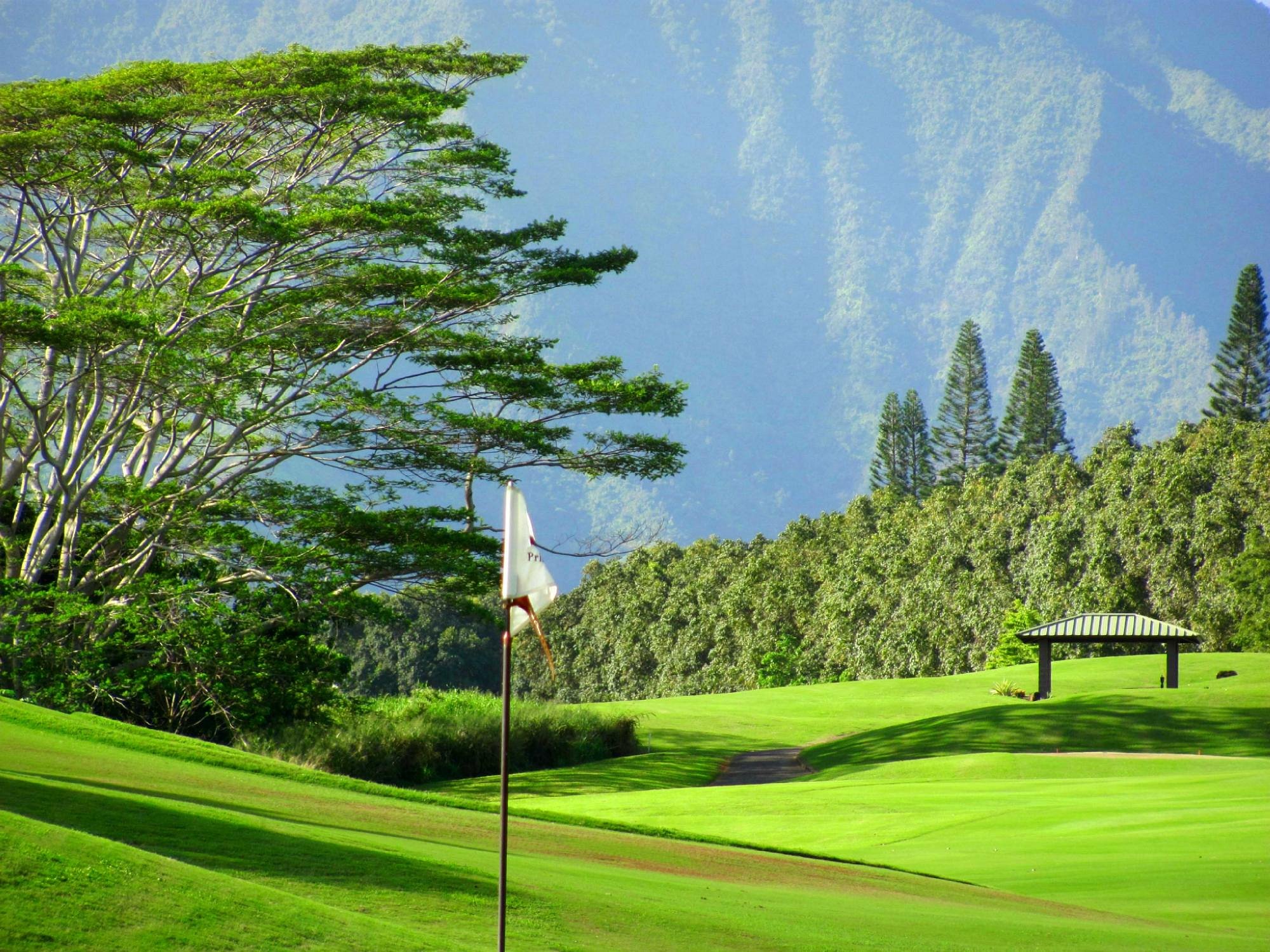 Lions Club Golf Tournament 2023 at the incredible Princeville